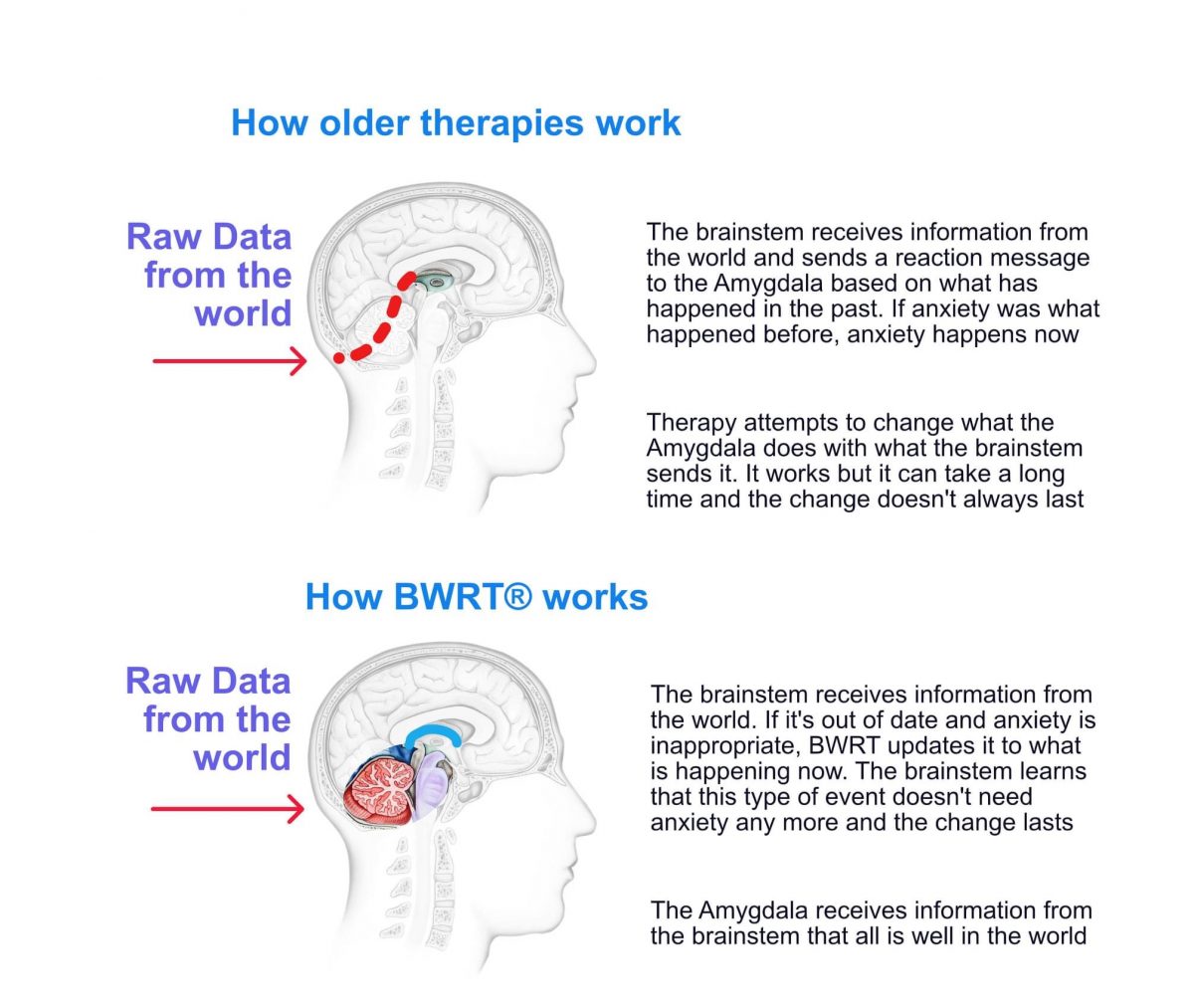 About BWRT – BrainWorkTherapy
