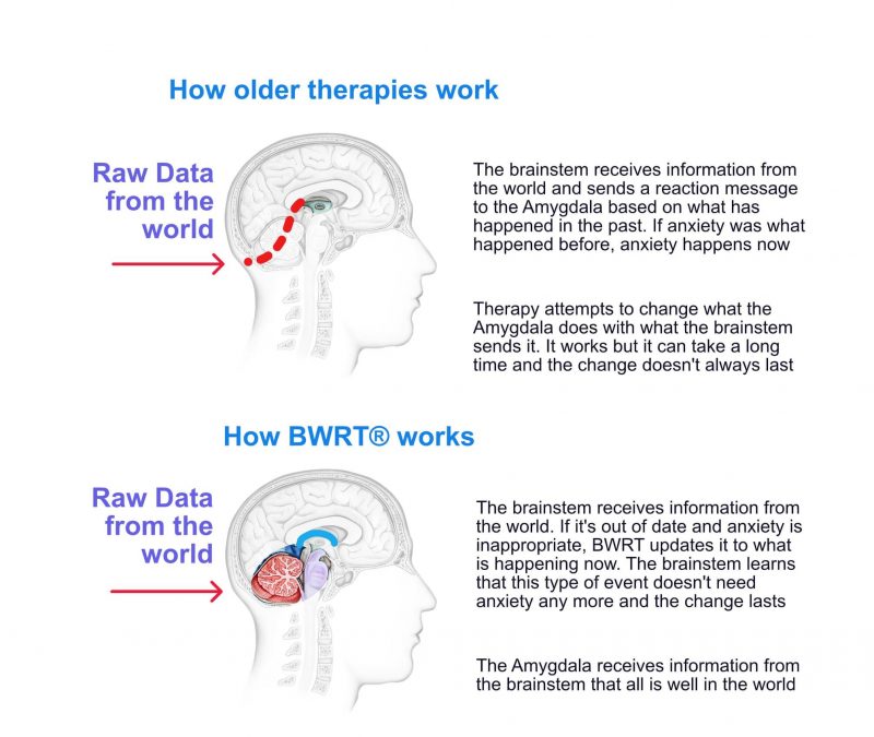 About BWRT – BrainWorkTherapy